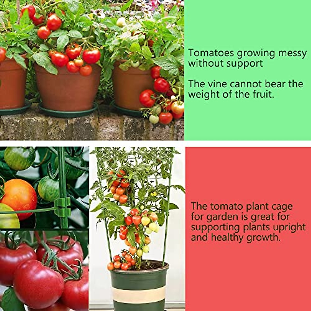 Adjustable Tomato Cage,36" Plant Support Garden Plant Stakes Cucumber Trellis with 4 Adjustable Ring for Climbing Plants Vegetables，Flowers，Fruit,Rose Vine Climbing Plants(6 Pack)