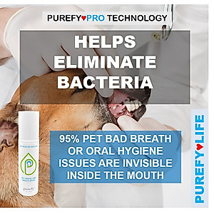 PUREFY Pet Dental and Breath Spray. Instantly Removes Bad Breath Odor. Helps Keep Pet Breath Fresh and Teeth Clean - Supports Gum Health. Cleared for Frequent Use.