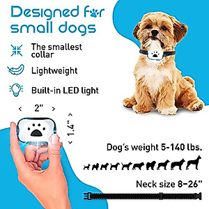 Small Size Dog Training Collar with Remote for Small Dogs with LED Light - Perfect for Small Dogs 5-15lbs - Waterproof & 1000 Feet Range