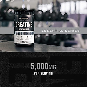 Creatine Monohydrate Powder 5g - Pure Creatine Supplement for Muscle Growth & Recovery, Build Muscle & Increase Strength, Improve Performance - 85 Servings, Unflavored