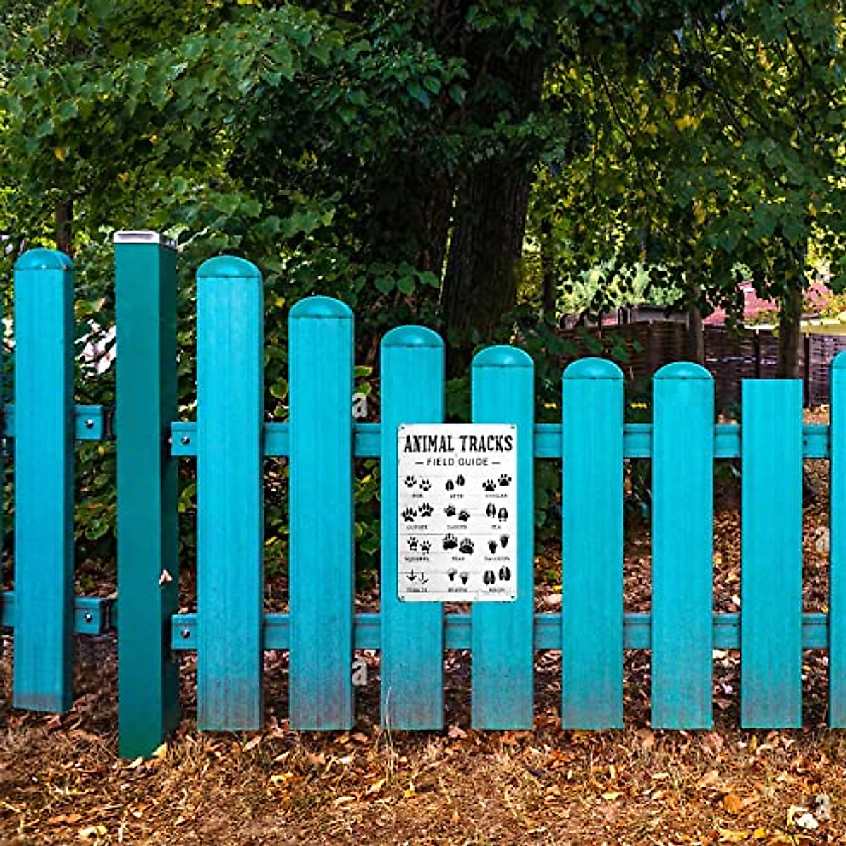 CrazySign Animal Tracks Field Guide Sign Log Cabin Wall Decor, Forest Hunting Decor, Boy Nursery Decor 8 x 12 Inch (211)