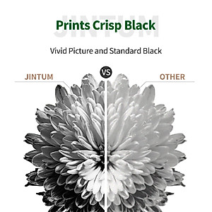 JINTUM Remanufactured PG-275XL Ink Cartridge Replacement for Canon 275 Ink Cartridges for Canon PIXMA TS3522 TR4720 TS3520 Printer (2 Black)