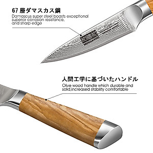 HOSHANHO Damascus Paring Knife 3.75 Inch, Professional 67 Layers Damascus Super Steel Small Fruit Knife, Super Sharp Hand Forged Japanese Paring Knife