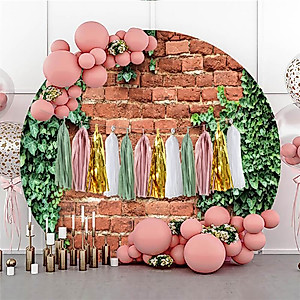25PCS Sage Green Dusty Pink Boho Tissue Tassel Garland Banner Hanging Backdrop Classroom Nursery Girl Baby Shower Wedding Bridal Shower Birthday Jungle Safari Party Décor