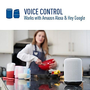 Cree Connected Max Smart Led Vintage Glass Filament Bulb G25 Globe 40W Tunable White, 2.4 Ghz, Works With Alexa And Google Home, No Hub Required, Bluetooth + Wifi, 1Pk, Clear, Cmg25-40W-Al-9Tw-Gl