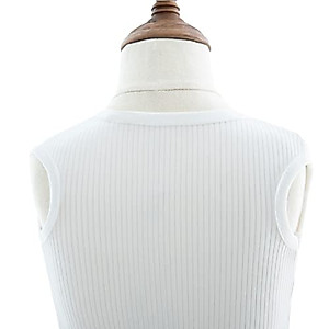 Dog Cute Dress Lace Tulle Tutu Outfit Skirt with Beautiful Stars Embroidery for Small Medium Girl Dogs Christmas Holiday Wedding Birthday Party (White Star, XL)