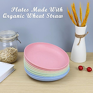 Homienly Deep Dinner Plates Set of 8 Alternative for Plastic Plates Microwave and Dishwasher Safe Wheat Straw Plates for Kitchen Unbreakable Kids Plates with 4 Colors (Fresh Light, 10 inch)
