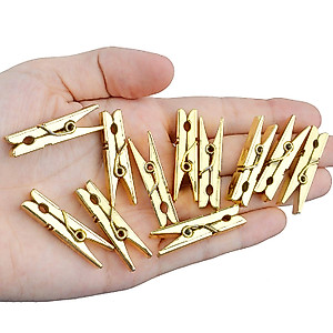 Jdesun 50 Pieces Photo Clips,Mini Plastic Picture Paper Clip Clothespins Peg for Office,Home,Arts(Gold)