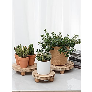 Set of 3 Mini Wooden Stool Display Stand - Round Decorative Flower Shelf Bonsai Rack Garden Plant Pot Riser Holder Modern Plant Stand with Wood Grain for Indoor Outdoor Home Patio Decoration (S, M, L)