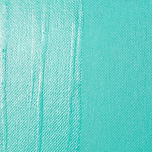 Liquitex Professional Satin Varnish, 237ml (8-oz)