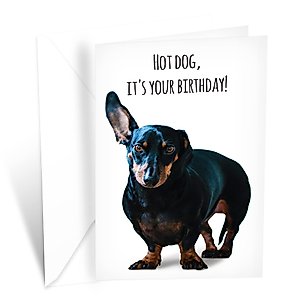 Prime Greetings Funny Dog Birthday Card Pun With Wiener, Made in America, Eco-Friendly, Thick Card Stock with Premium Envelope 5in x 7.75in, Packaged in Protective Mailer