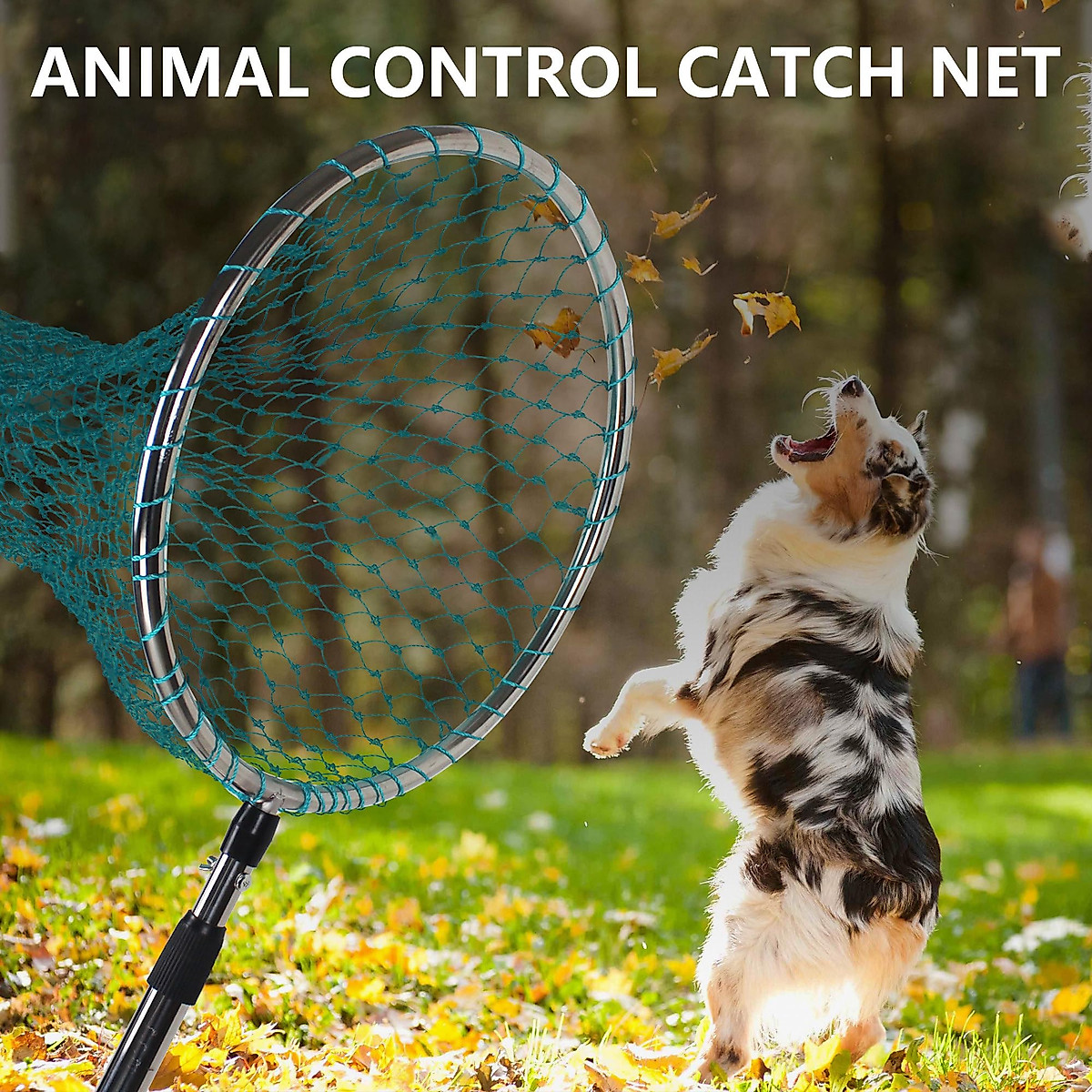 Wamlet Dog Catch Net Animal Control Net Poultry Catching Trap Tool Length Adjustable for Cat, Pigeon and Others (42~70" Handle with 22" Net Opening) (Stainless Steel, Natural)