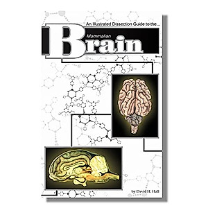 Anatomy Lab Sheep Brain Dissection Kit with Scalpel Dissection Guide and Dissection Specimen for Biology College Anatomy