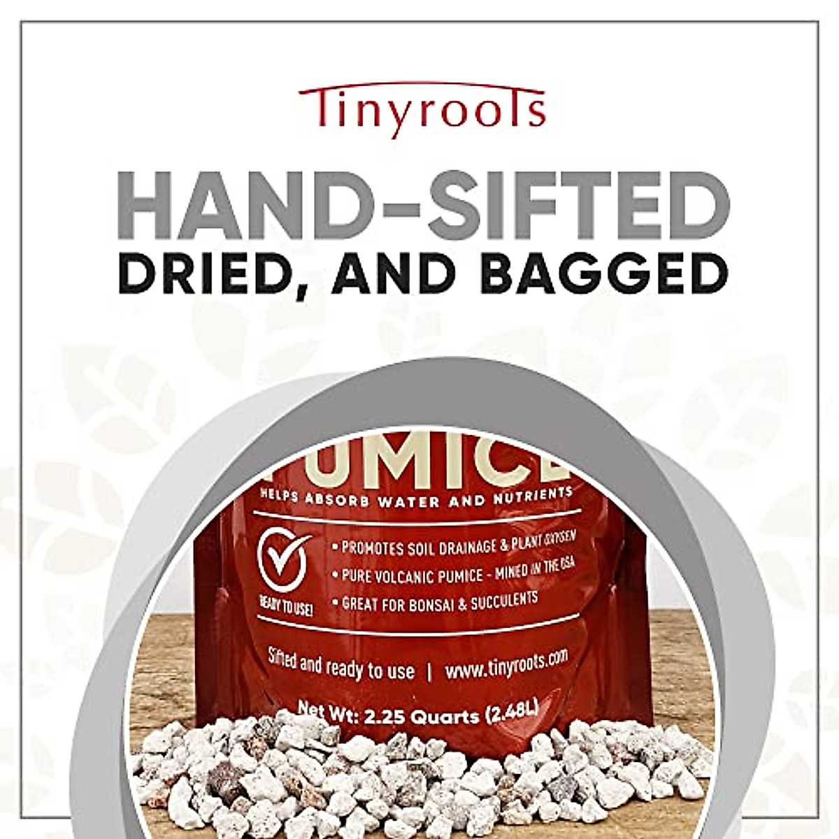 Bonsai Outlet Horticultural Pumice for Plants - Tinyroots Succulents ...