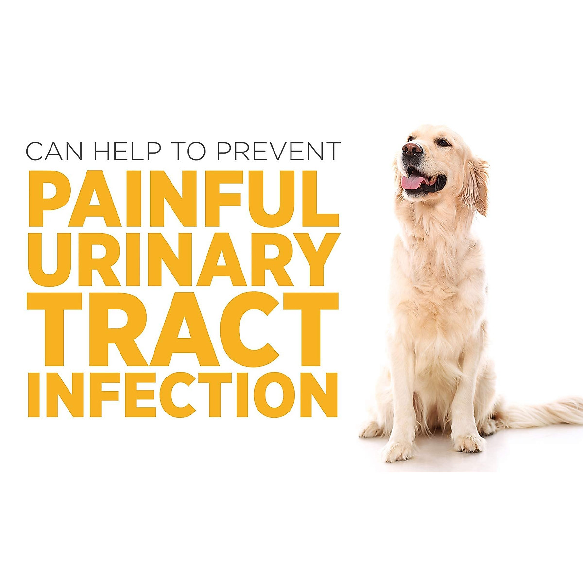 maxxipaws UTI Calm Bundle – maxxiUtract Urinary and Bladder Support for Dogs & maxxicalm Canine Calming Supplement