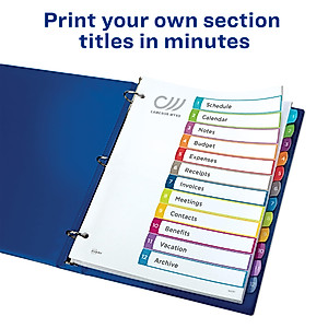 Avery 12 Tab Dividers for 3 Ring Binders, Customizable Table of Contents, Multicolor Tabs, 1 Set (11843)