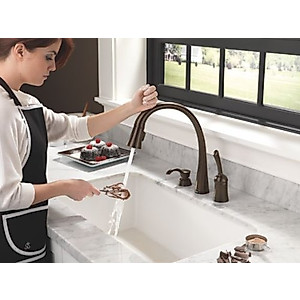 Delta Faucet Pilar Kitchen Soap Dispenser for Kitchen Sinks, Venetian Bronze RP50781RB