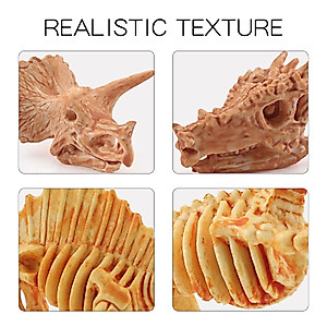 Dinosaur Head Skeleton Golden Dino Fossil Assorted Bones Playsets 23 PCS Action Figures Model Toys for Kids