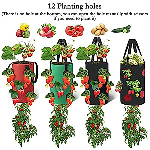 4 Pcs Upside Down Strawberry Planter- 4 Hooks 3 Gallon Hanging Strawberry Planter Hanging Planter,Sturdy Hanging Handle Thickened Breathable Felt Cloth for Tomato Hot Peppers Vegetables (4Pcs 3Gal)