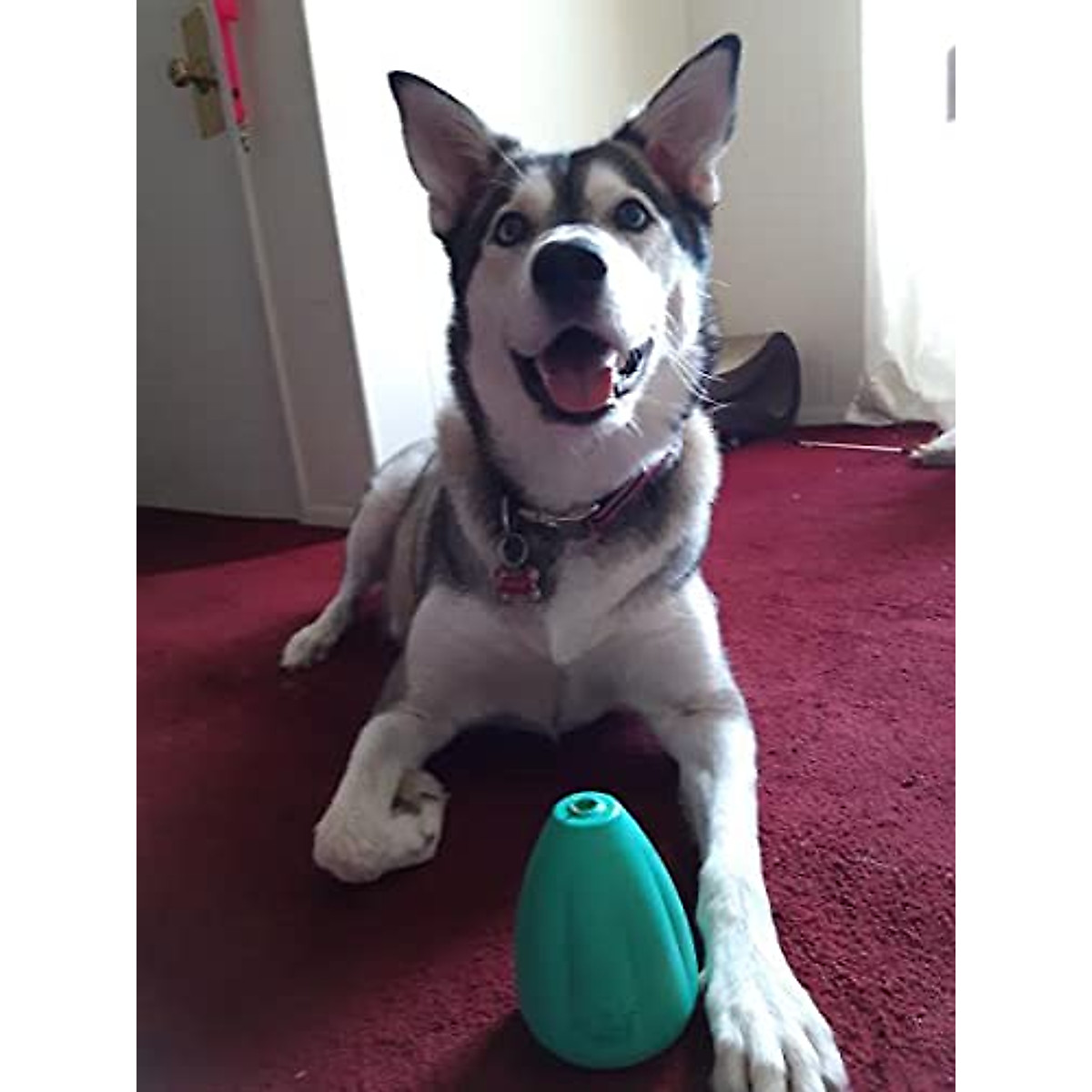 Chew King Premium Treat Dog Toy, Medium, Extremely Durable Natural Rubber Toy, Pack of 2