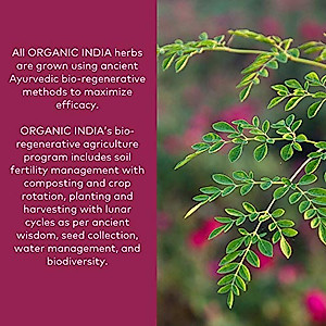 ORGANIC INDIA Triphala Herbal Supplement - Digestion & Colon Support, Immune System Support, Adaptogen, Nutrient Dense, Vegan, Gluten-Free, USDA Certified Organic, Non-GMO - 180 Capsules