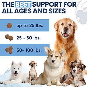 Scratch-Stop 120 Scratching Relief Chews for Dogs with Itchy Skin and Allergies, Essential Dog Allergy Relief and Vitamins Supplement for Immune Support, Omega-3, and Gut Health, Seasonal Allergies