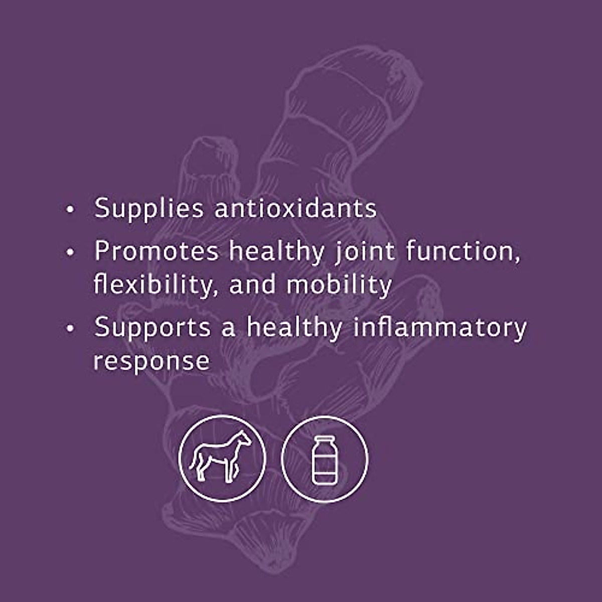Standard Process Equine Mobility Support - Whole Food Horse Supplies for Antioxidant, Flexibility and Joint Support - Joint Supplement with Ginger Root, Glucosamine Sulfate, Chondroitin Sulfate - 40oz