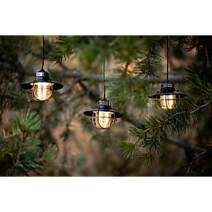 Barebones Edison Pendant String Lights - Forest Lantern, Lantern, and Railroad Lantern - Formal Outdoor String Lights Edison and String Lanterns (Antique Bronze)