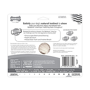 1 Pack Nylabone Durable Dental Dinosaur Chew Toy (Dinosaur Shape Varies), Large