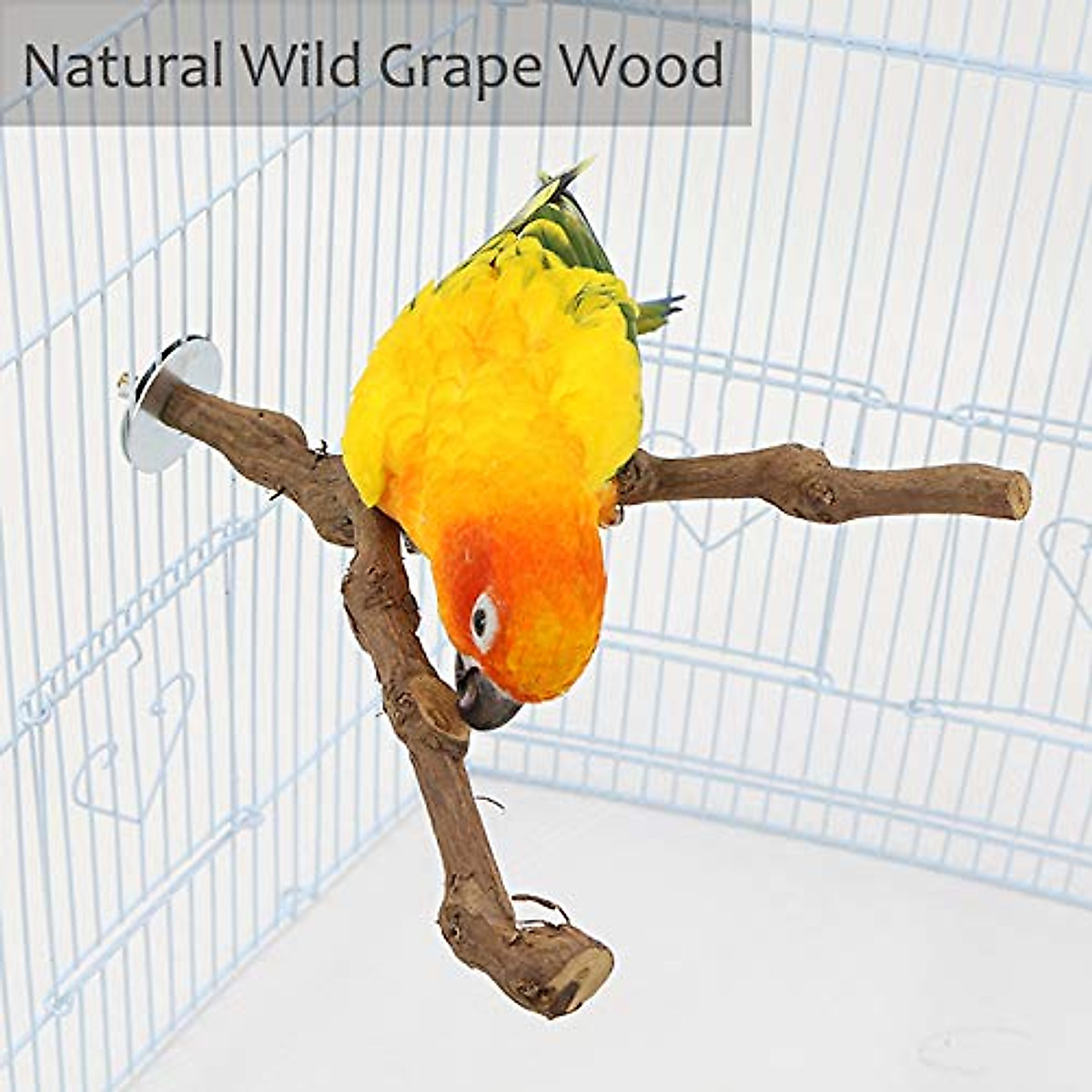 kathson Parrot Perch Stand Bird Cagestand Pole Natural Wild Grape Stick Grinding Paw Cage Accessories for Parakeet Cockatiels Budgies Conure Lovebirds Platform