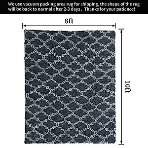HOMBYS 8x10 Fluffy Area Rug for Living Room Bedroom, Super Soft Geometric Modern Plush Large Play Carpet for Kids, Non-Skid Luxury Fuzzy Décor Shag Feet Mat for Bedside, Grey