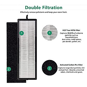 Eureka NEA120 True HEPA Filter, Compatible with Eureka Instant Clear NEA120 (NEA-F1/ NEA-C1) and Toshiba Smart WiFi (CAF-W36USW) Air Purifier, 2 pack