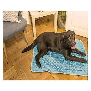 ITOMEN Pet Bed Pet Mat Breathable Washable Pad Dog Cat Blanket Kennel Crate and Bed Sleeping Ice Silk Comfort (Color : Pink, Size : XS 40x30 cm)