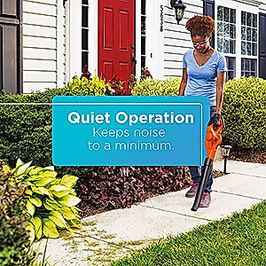 BLACK+DECKER 20V MAX* Cordless Sweeper (LSW221), Pack of 1