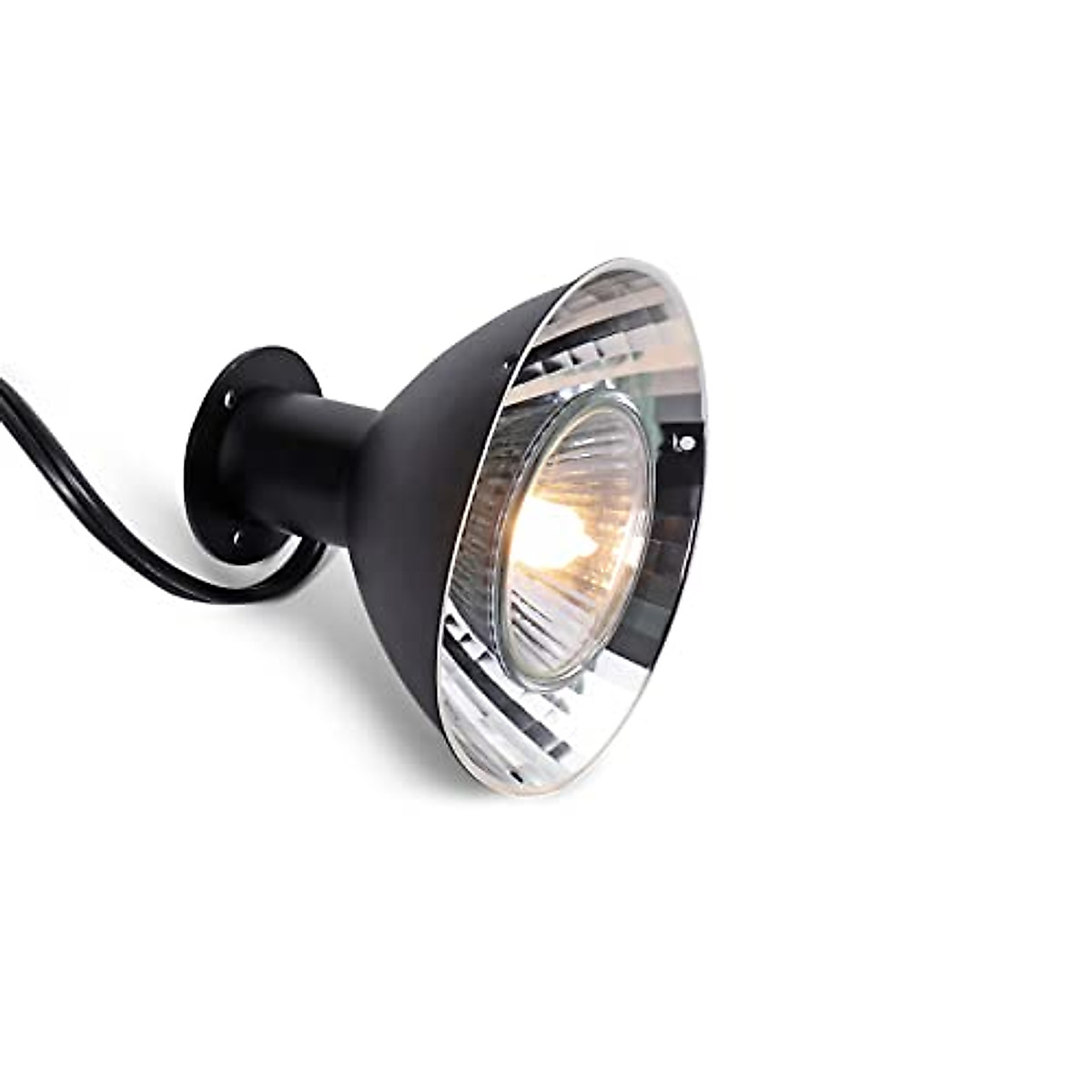 CAROLINA CUSTOM CAGES 75w GU10 Halogen Reptile Basking Bulb