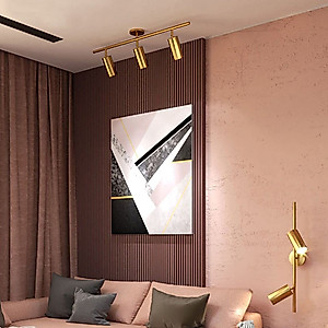 KCO Lighting Modern Brass Gold Track Lighting 3-Lights Modern Kitchen Track Lighting Fixtures Indoor Flush Mount Ceiling Spotlights Dimmable LED Ceiling Spot Light (3-Light)