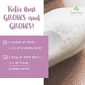 VIVO Kefir Starter (5 boxes) Makes up to 30 quarts of kefir