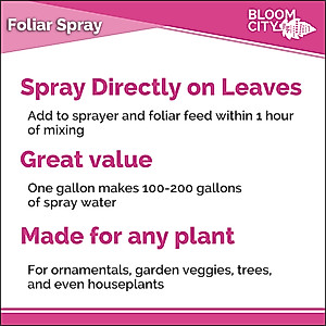 Organic SuperGreen Kelp Foliar Spray for Plants by Bloom City, Quart (32 oz)