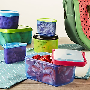 Fit & Fresh Kids' Reusable Lunch Box Container Set with Built-In Ice Packs, 14-Piece Healthy Lunch and Snack Kit, BPA-Free Microwave Safe, Portion Control