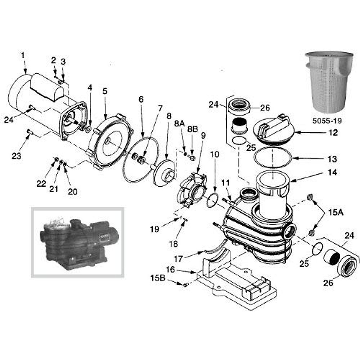 Tork Distributors Compatible with Sta-Rite (2 Pack) U9-362 Dyna-Wave Pool Pump Union & Filter Adapter O-Rings