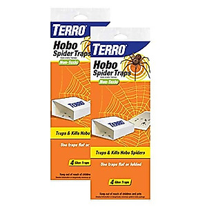 Hobo Spider Trap