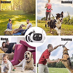 Wireless Dog Fence Electric Pet Containment System Boundary Container,with Waterproof Training Collar Receiver,Adjustable Range 80-1640 ft,Rechargeable,Harmless for Dogs,for All Dogs,for3dogs