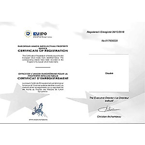 Cloudisk Small Capacity 10 Pack 256MB Micro SD Card in Bulk Pack (NOT GB) with SD Adapter USB Card Reader Memory Card for Small Data, Files, Advertising or Promotion (Too Small for Any Videos)