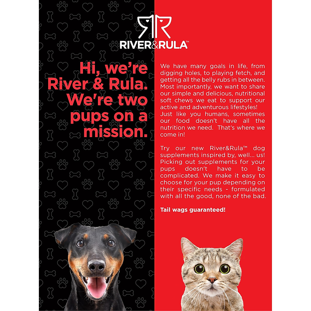 Horbäach Pet Multivitamins for Dogs & Cats | 120 Chewable Tablets | Health Support Supplement | Non-GMO, Gluten Free | by River & RULA