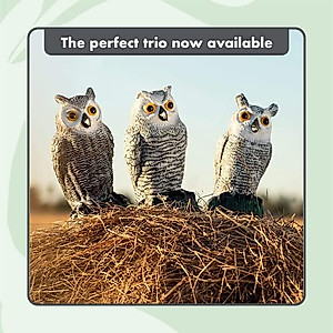 Fake Owl Decoy and Bird Deterrent - Set of 3 Plastic Owl to Scare Birds Away - Effective Bird Deterrent Devices as Scarecrow for Garden - Bird Repellent Devices Outdoor, Keep Birds Away!