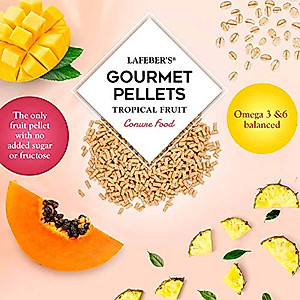 LAFEBER'S Tropical Fruit Gourmet Pellets Pet Bird Food, No Added Sugar, Made with Non-GMO and Human-Grade Ingredients, for Conures, 4 lb