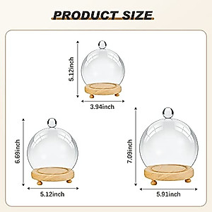 3 Pieces Cloche Glass Dome Glass Cloche Globe Display Dome 3 Sizes Glass Ball Shape Dome Cake Stand with Dome Clear Ball Display Pedestals with Dome Glass Dome Centerpiece for Candle Decor Plant Food
