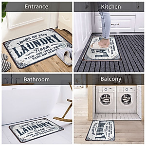 Home Decor Laundry Room Non-Slip Rugs Rubber Backing Indoor Doormat Easy Clean for Inside Floor Mats for Entryway 16"(W) x 24"(L)