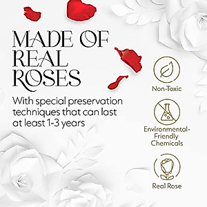 GLAMOUR BOUTIQUE 7-Piece Forever Red Rose Box - Preserved Roses in a Box, Immortal Roses in a Box That Last A Year - Eternal Rose Preserved Flowers for Delivery Prime Mothers Day & Valentines Day