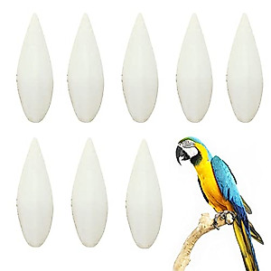 Tfwadmx 8Pcs Bird Cuttlebone for Parakeets Cuddle Bones for Birds Chewing Cuttlefish Bone Natural Birds Calcium for Parrots Cockatiels Budgies Conures Cockatoos,4.3-5.1 Inches